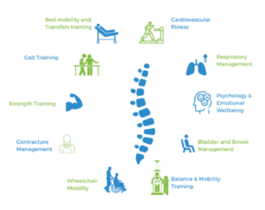 Spinal Cord Injury Rehabilitation & Recovery in Bangalore & Hyderabad